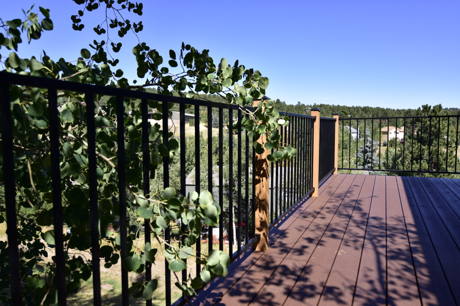 CINCH | Capital Lumber